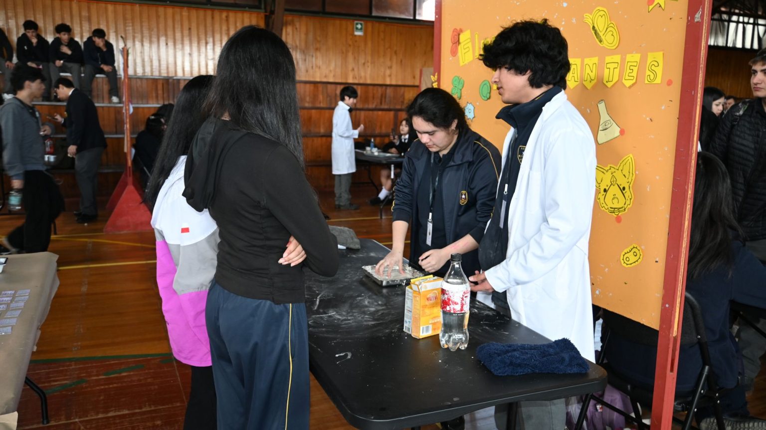 DSC_4655 – Fundación El Pilar